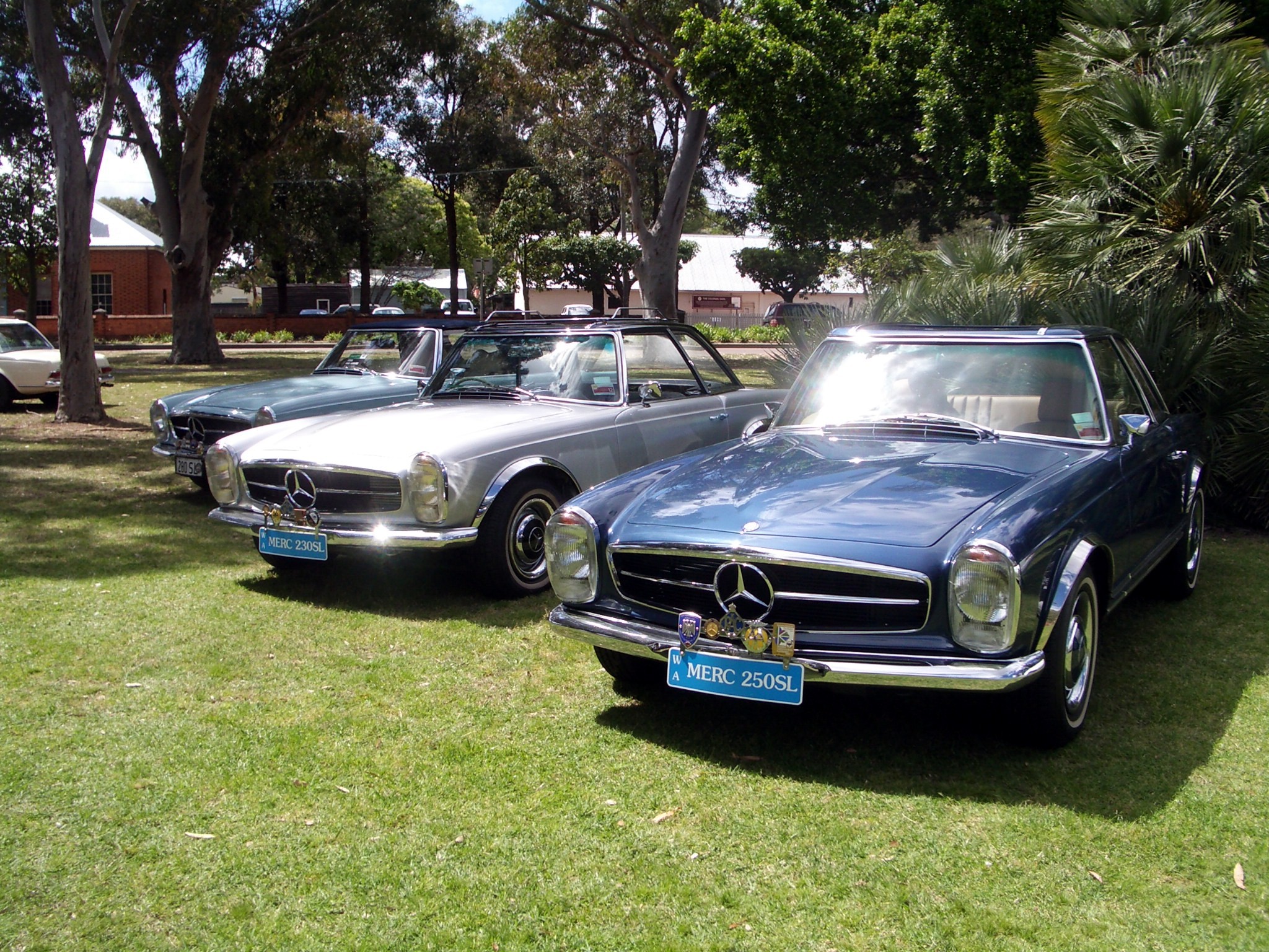 Wanted: Classic cars | Paul Blank